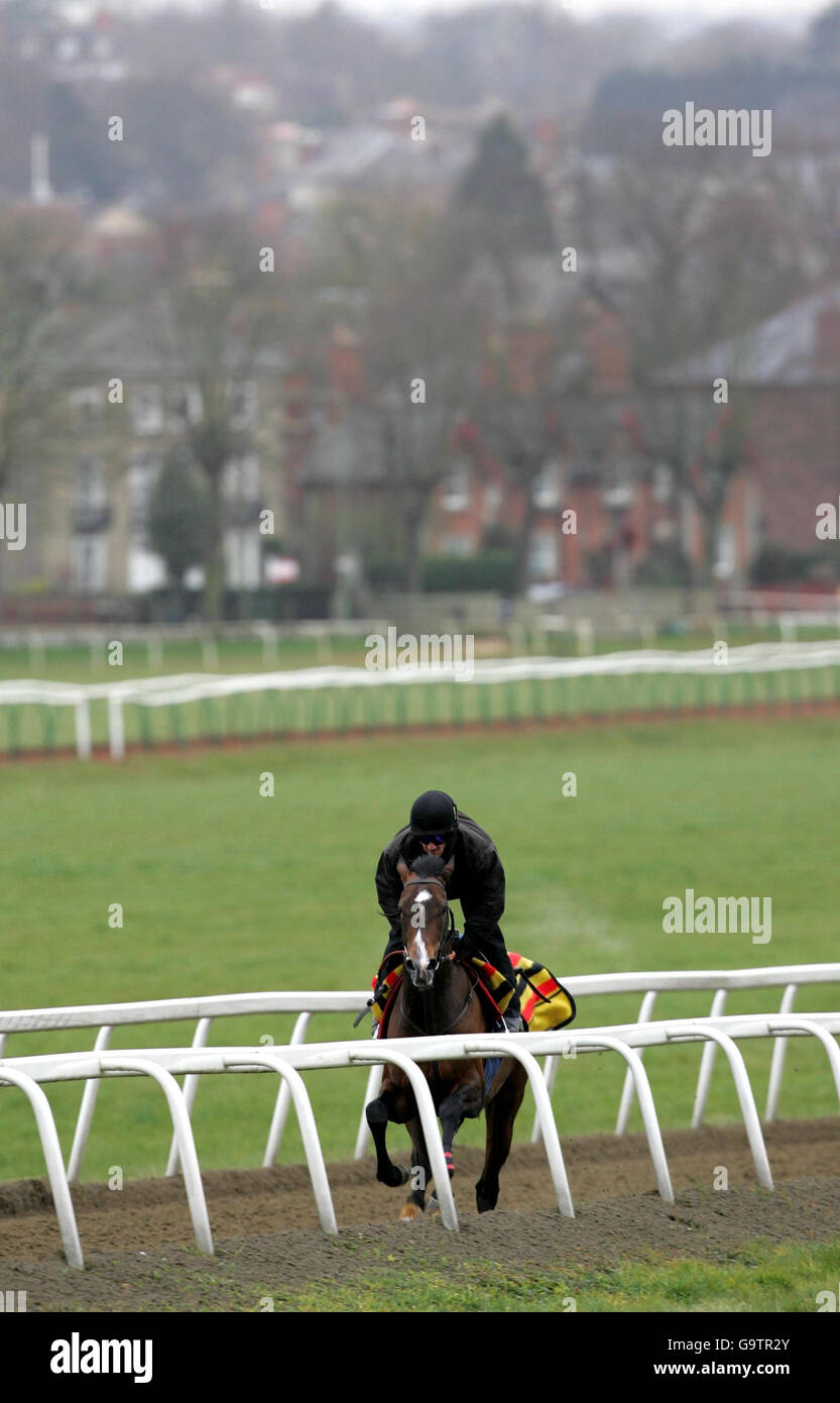 Authorized at the peter chapple hyam stables newmarket hi-res stock ...