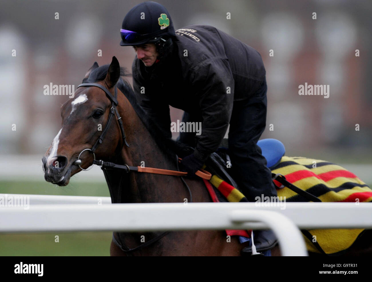 Authorized at the peter chapple hyam stables newmarket hi-res stock ...