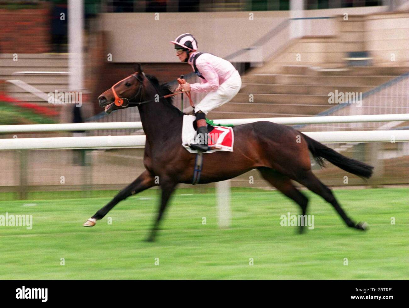Horse Racing - Newmarket Races Stock Photo - Alamy