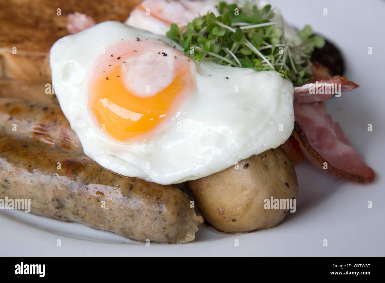 Scottish Breakfast in Cafe, Edinburgh; Scotland Stock Photo - Alamy