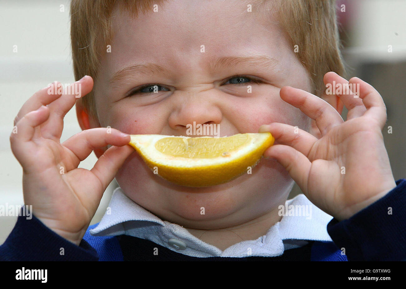 Joe Broderick, 3, from Fitzwilliam Montessori checking out one of the ...