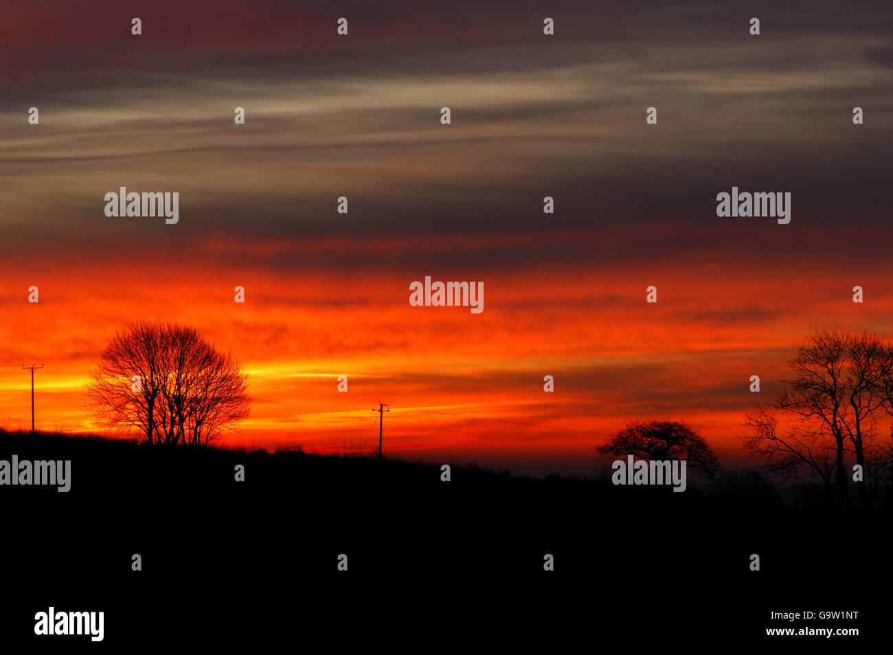 Blood red sunrise with trees in silhouette Stock Photo - Alamy