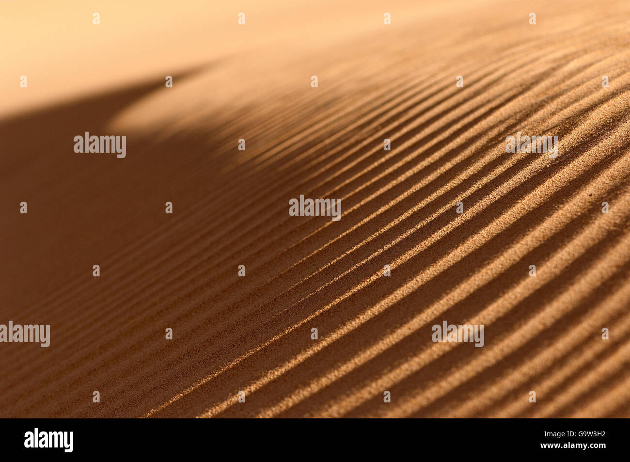 Patterns in Sand Dunes Stock Photo - Alamy
