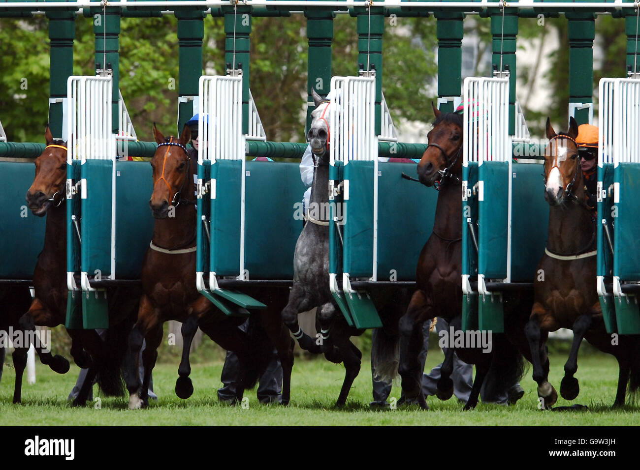 Starting gates racecourse hi-res stock photography and images - Alamy