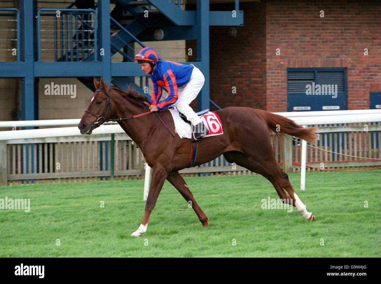 Newmarket racing smirk hi-res stock photography and images - Alamy