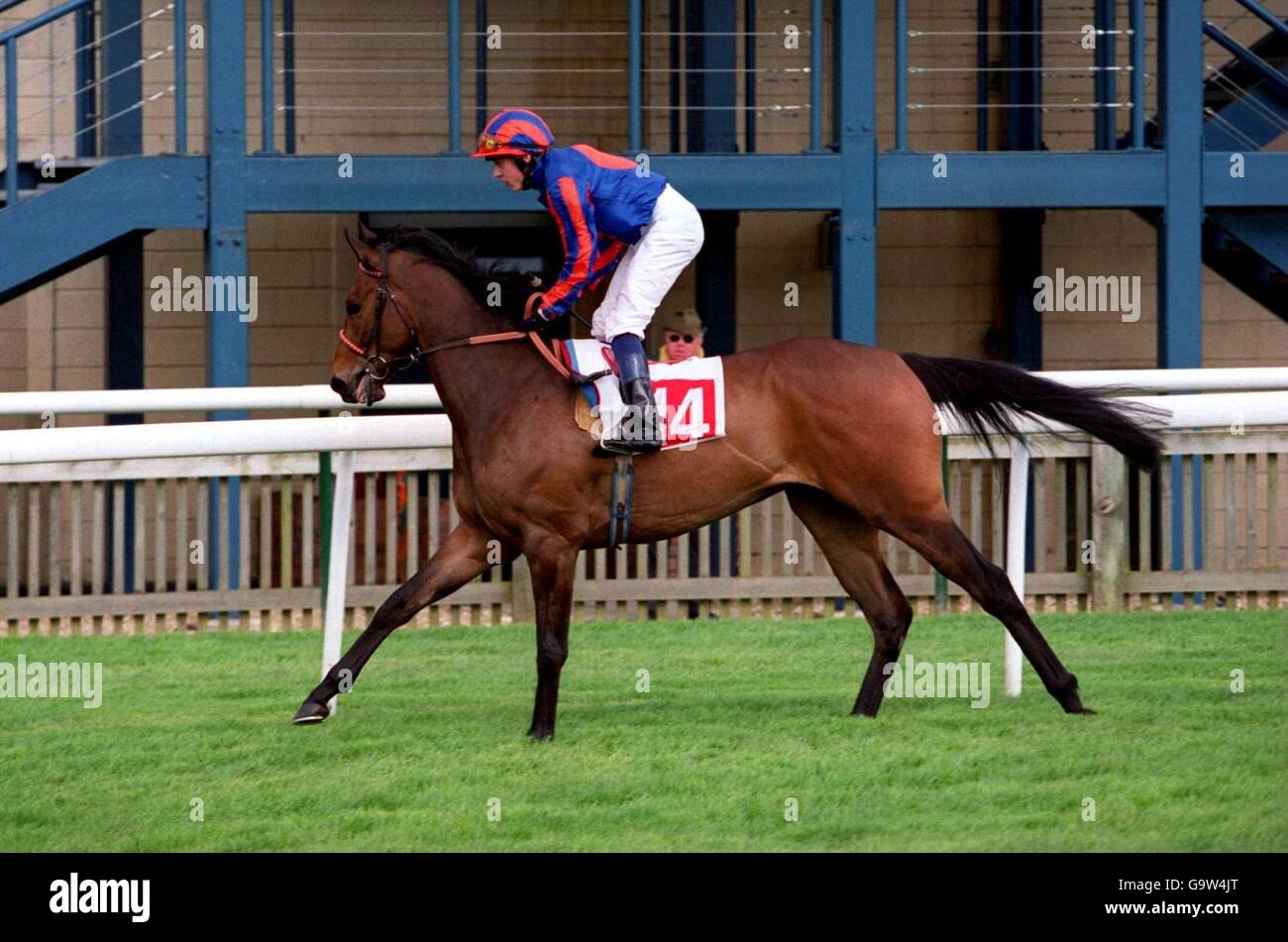 Horse Racing - Newmarket Races. Chris Catlin on Leatherback Stock Photo ...