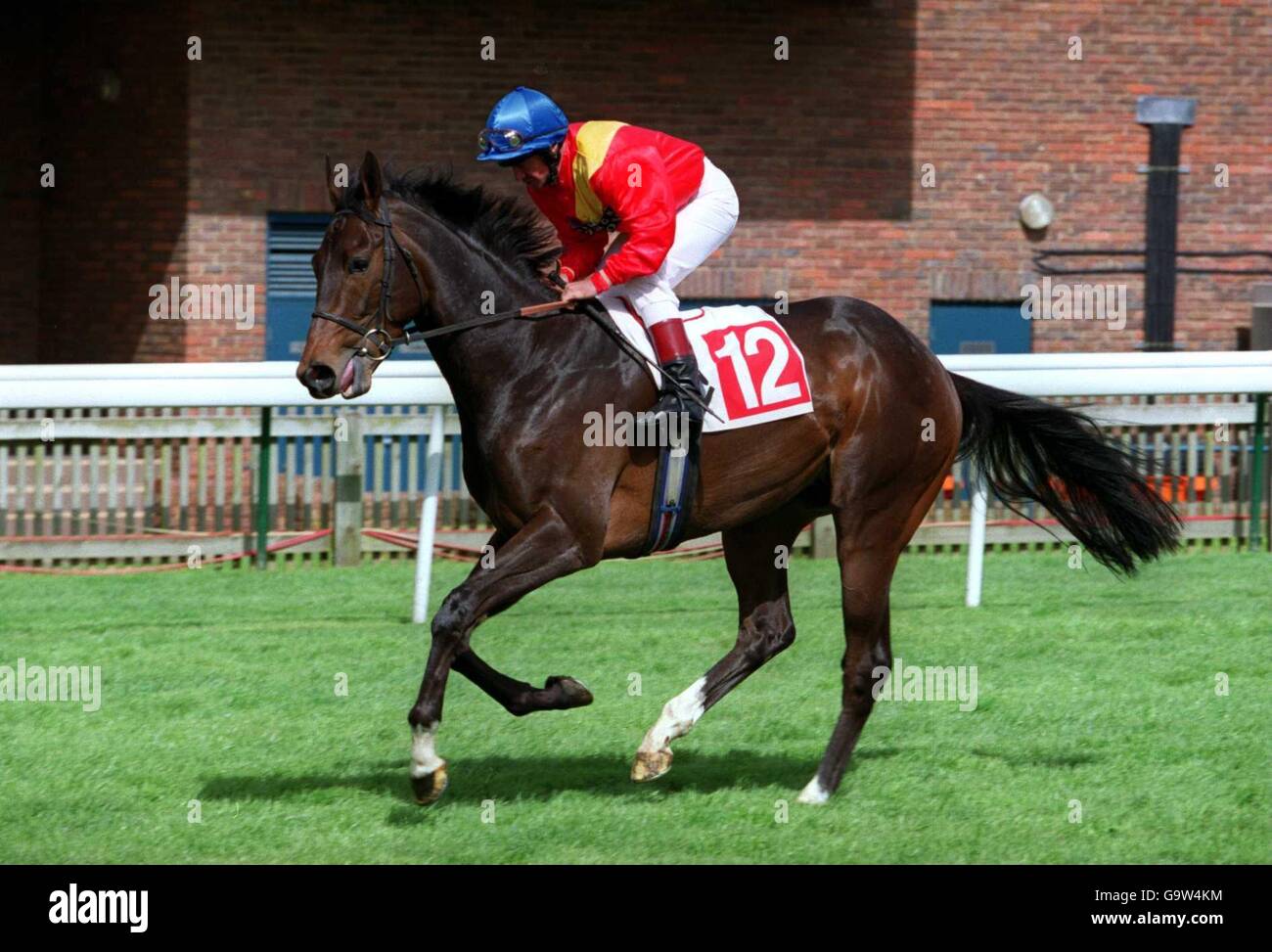 Horse Racing - Newmarket Races. Michael Roberts on Dennis Our Menace ...