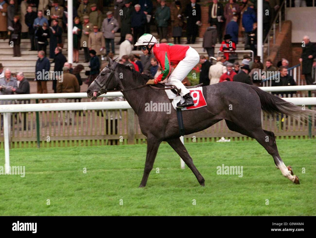 Horse Racing - Newmarket Races Stock Photo - Alamy
