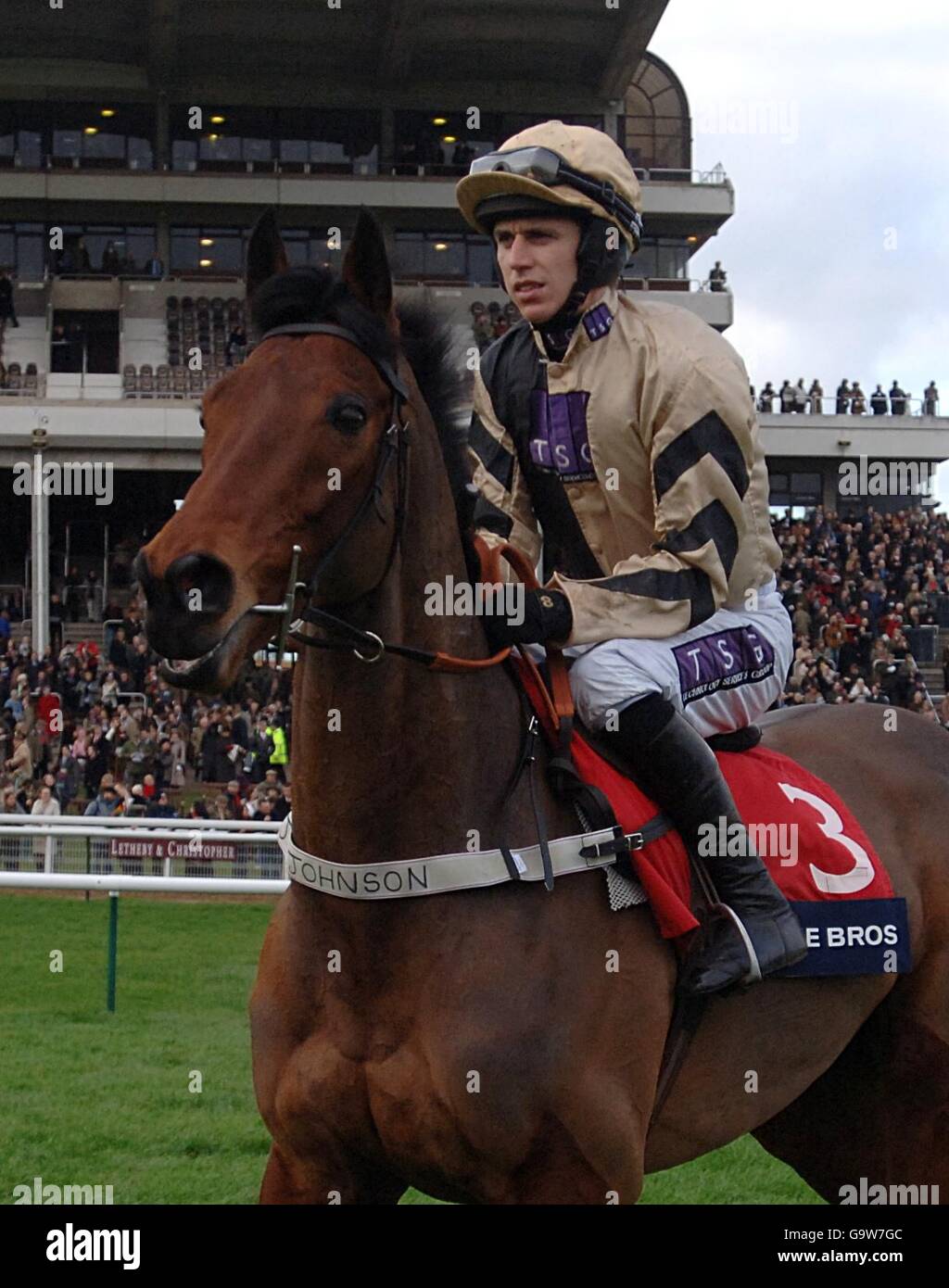 Inglis Drever ridden by P.J. Brennan before the Byrne Bros Cleeve ...