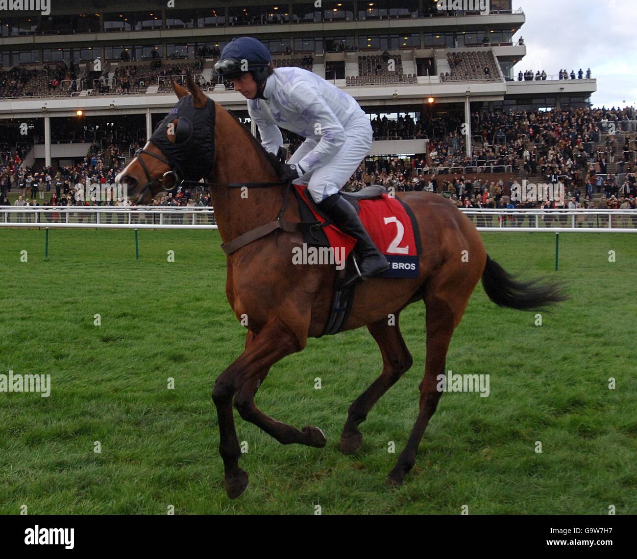 Fire Dragon ridden by Dominic Elsworth before the Byrne Bros Cleeve ...