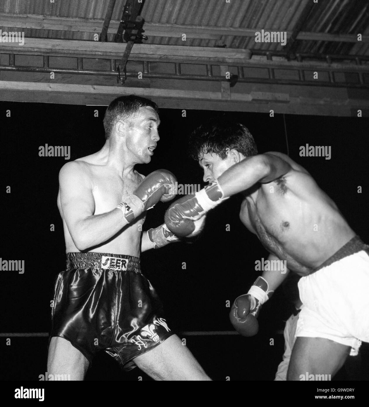 Boxing - WBC & WBA World Featherweight Title Bout - Vicente Saldivar v ...