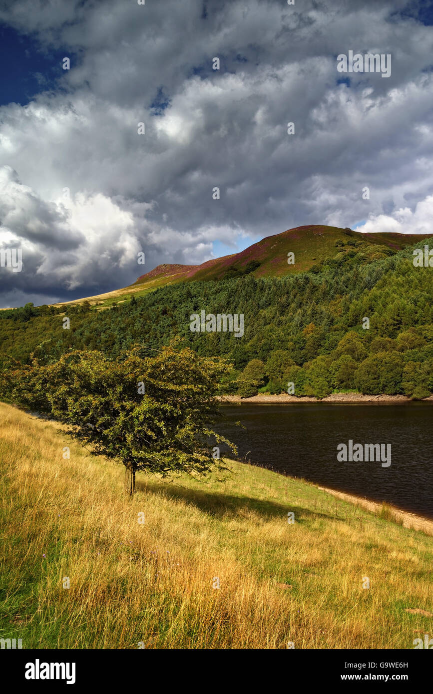 High Lea Park High Resolution Stock Photography and Images - Alamy