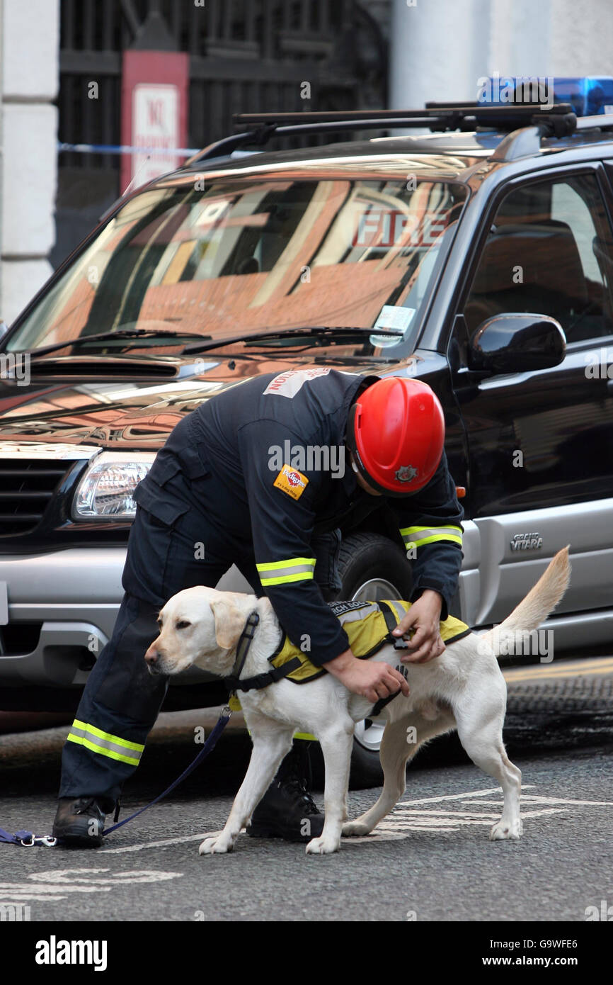 Firefighter on a roof with dog hi-res stock photography and images - Alamy