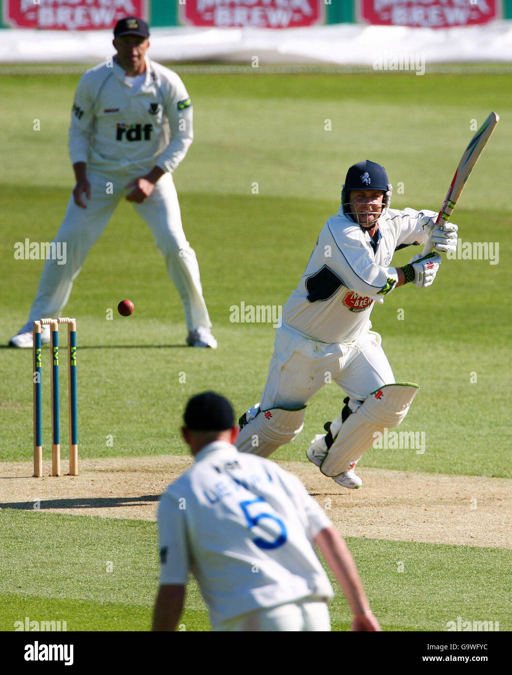 Full length action batting bat ball wickets running scoring england hi ...