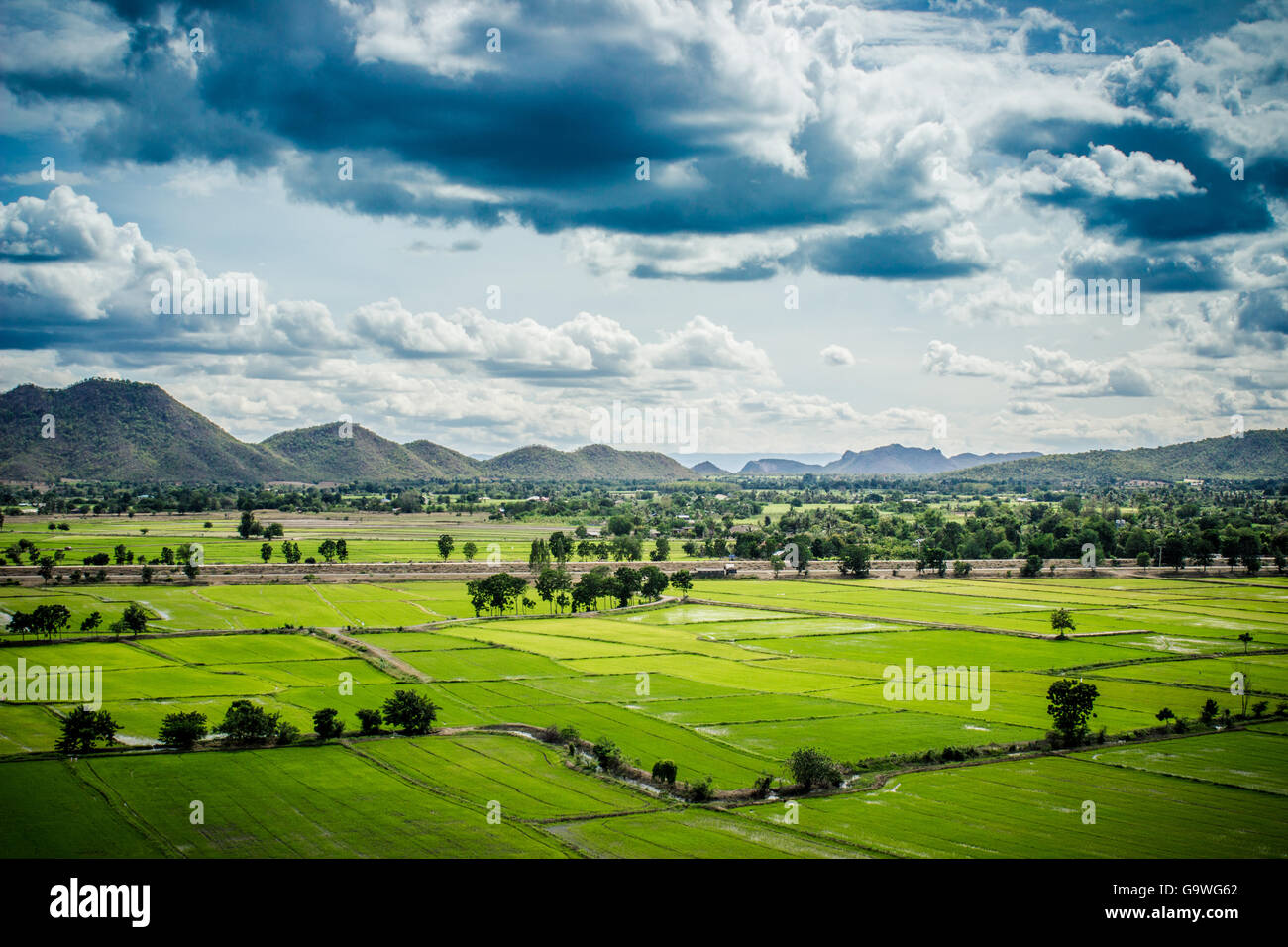 Landscape farm on cloud and sky background at Thailand Stock Photo - Alamy