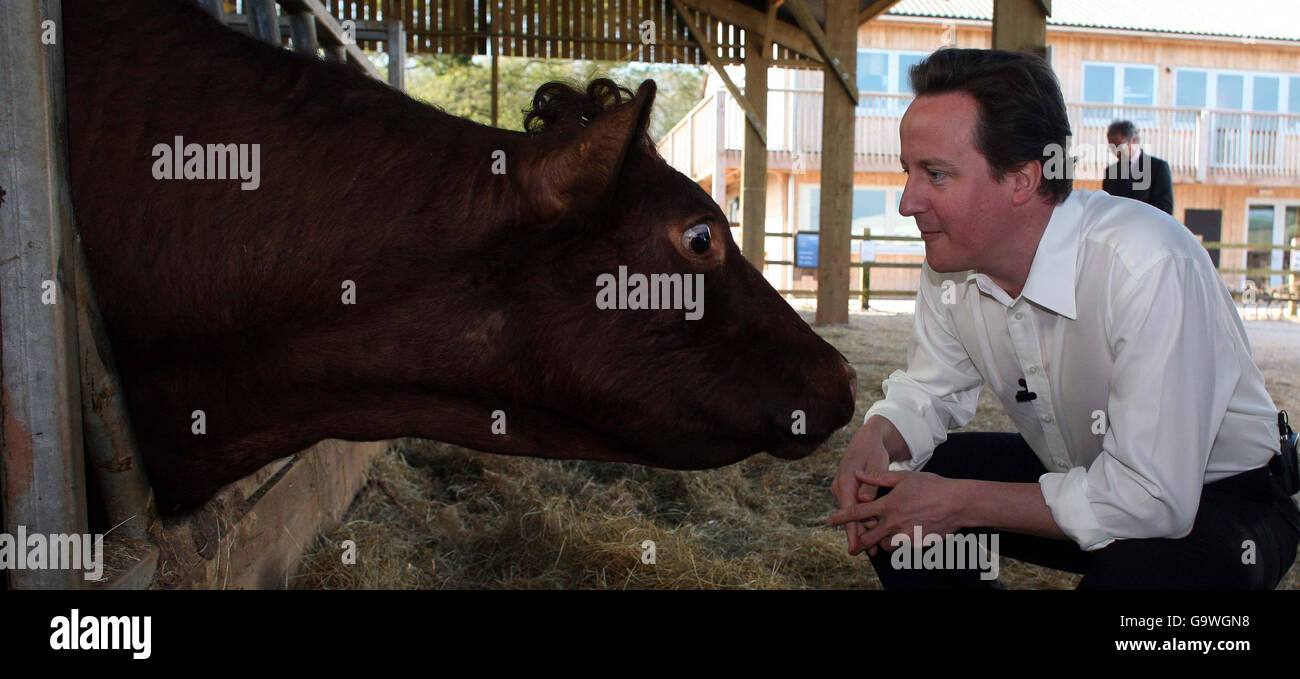 Davidcameronbitesize hi-res stock photography and images - Alamy