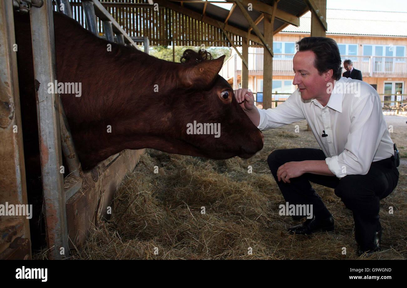 David Cameron visits a farm Stock Photo - Alamy