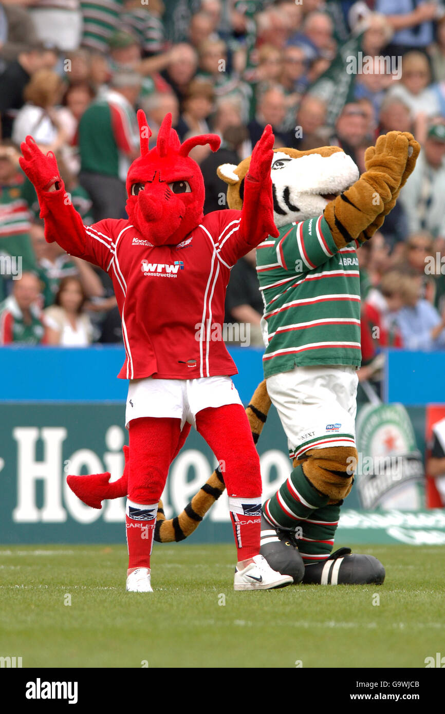Llanelli scarlets mascot hi-res stock photography and images - Alamy