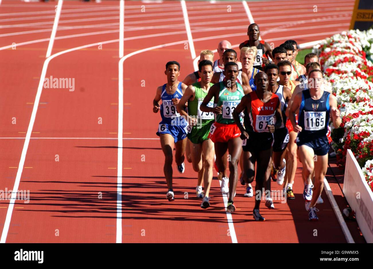The 5,000 metres field run down the front straight in the early morning ...