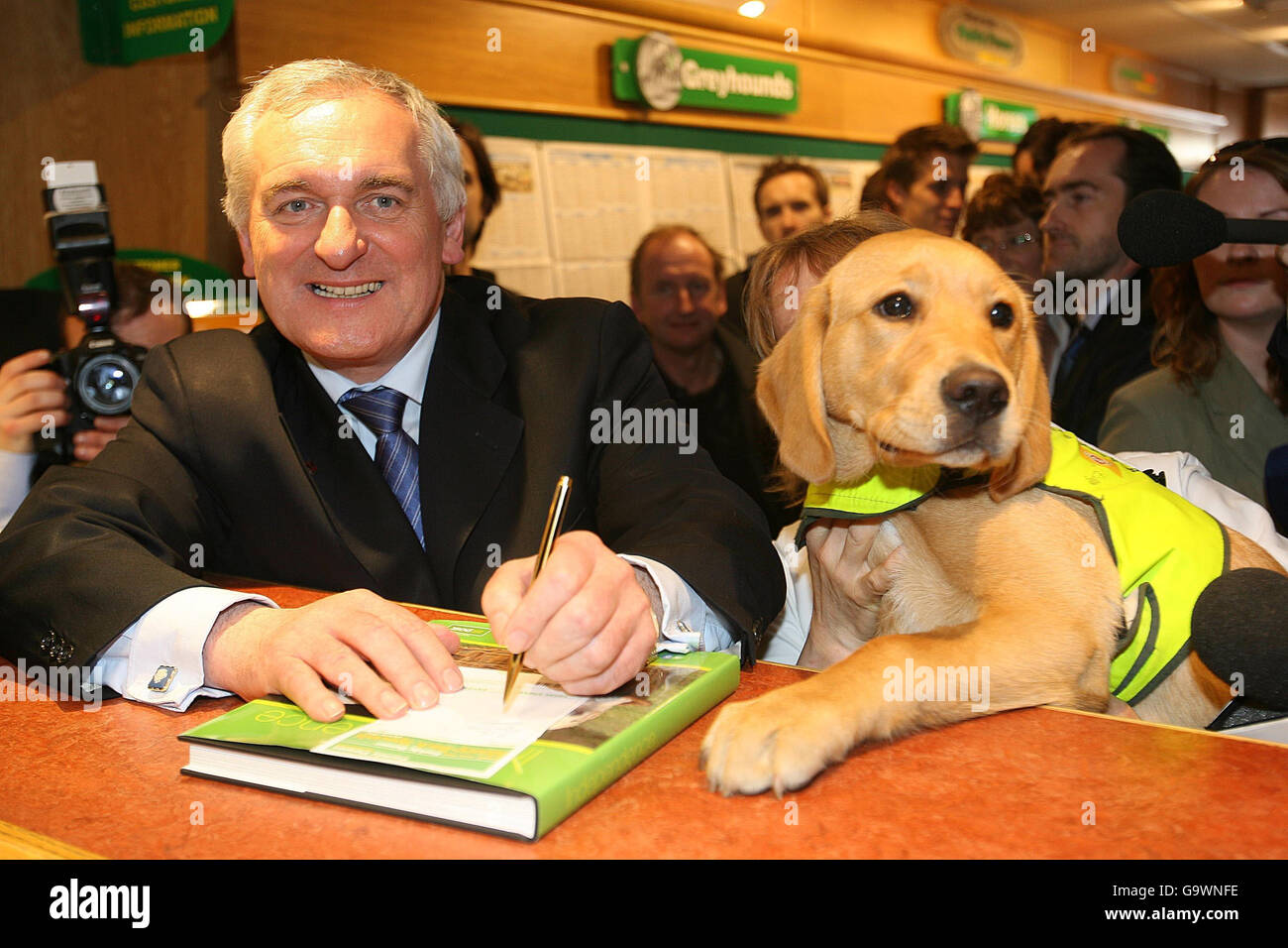 Ireland general election Stock Photo - Alamy
