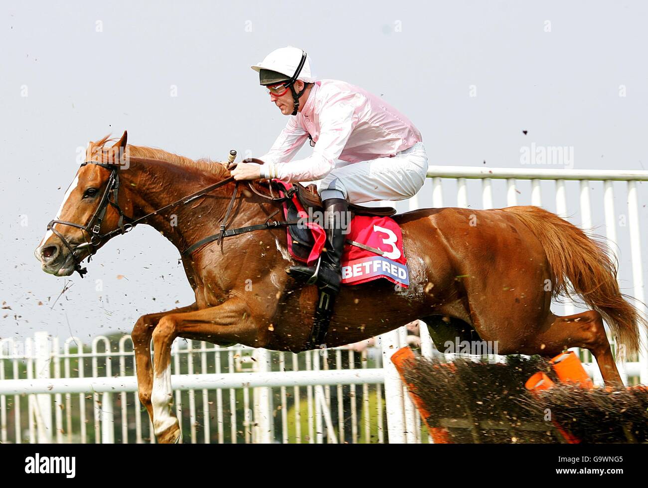 Horse Racing - Betfred Gold Cup Meeting - Sandown Park Stock Photo - Alamy