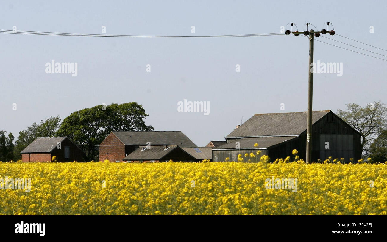 The exterior of Freshfields animal welfare centre in Ince Blundell ...