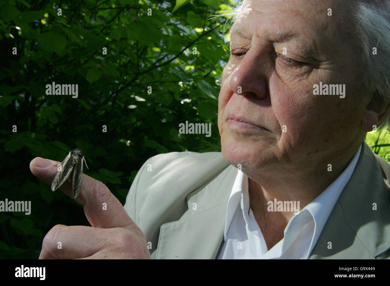 David attenborough animals hi-res stock photography and images - Alamy