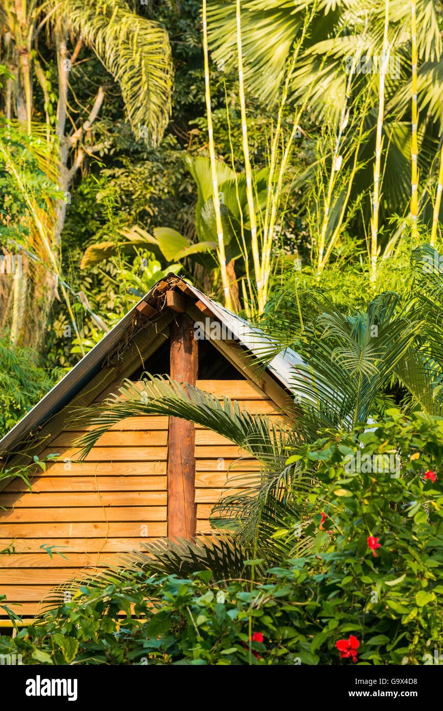 Indoor Eden Project Stock Photo - Alamy