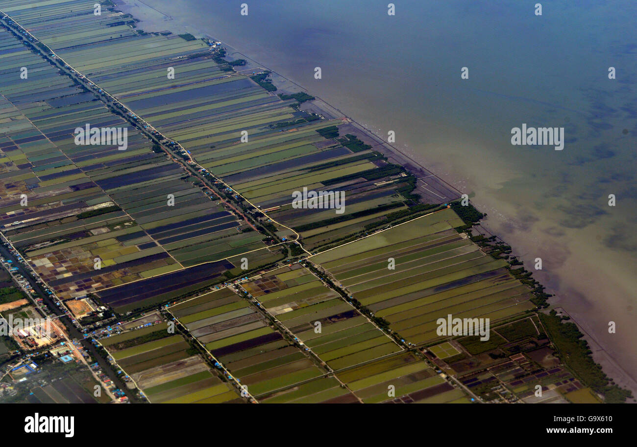 agraculture outside the city of Bangkok in Thailand in Suedostasien ...