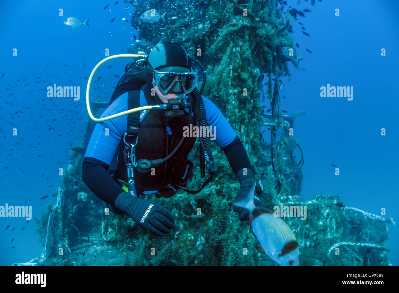Scuba diver swims over a sunken patrol boat Stock Photo - Alamy