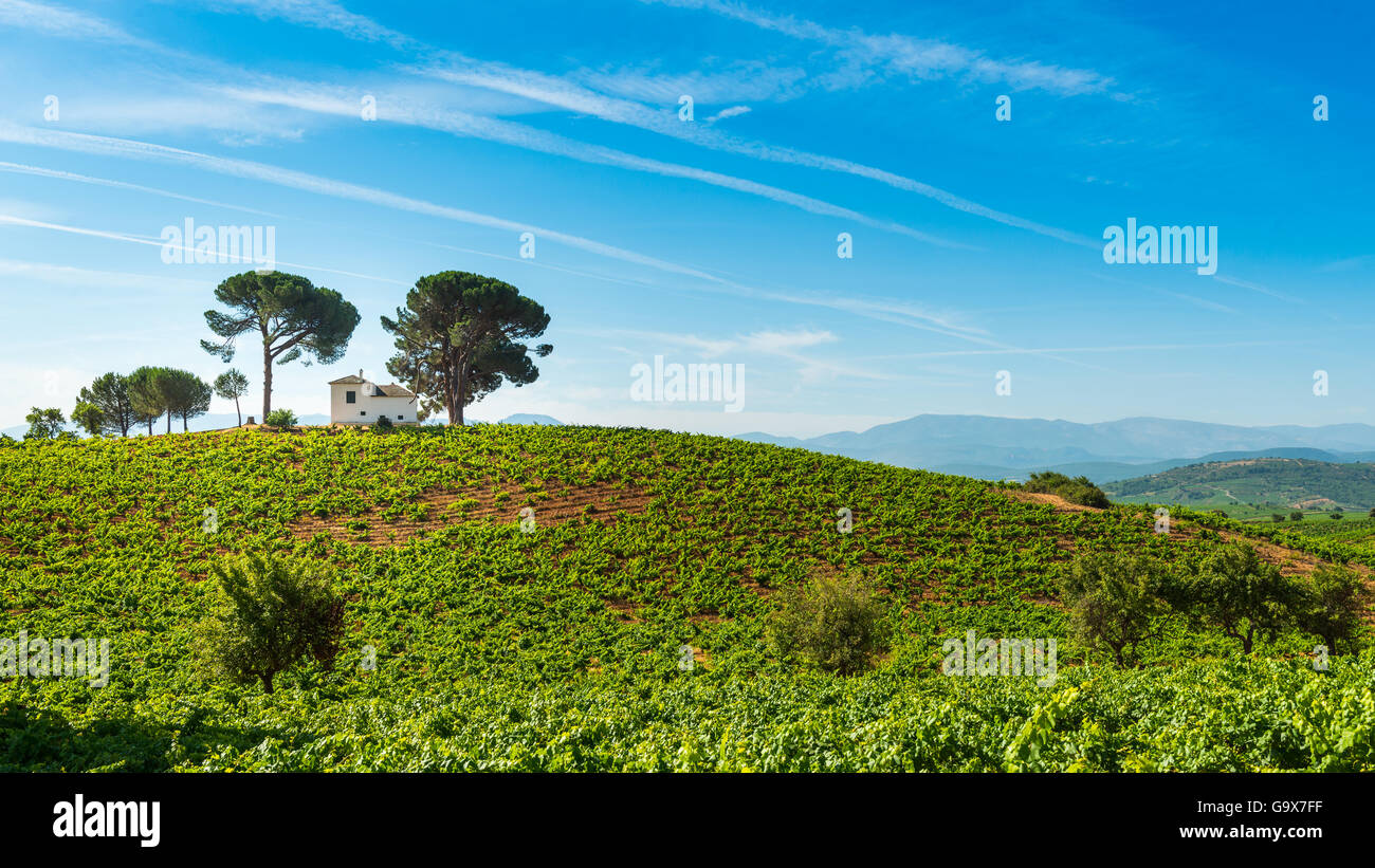 Bierzo hi-res stock photography and images - Alamy