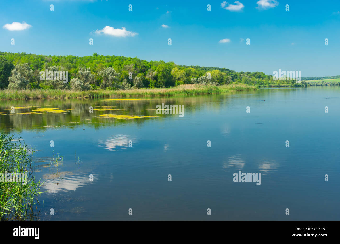 Simple tranquil landscape on a summer lake Stock Photo - Alamy