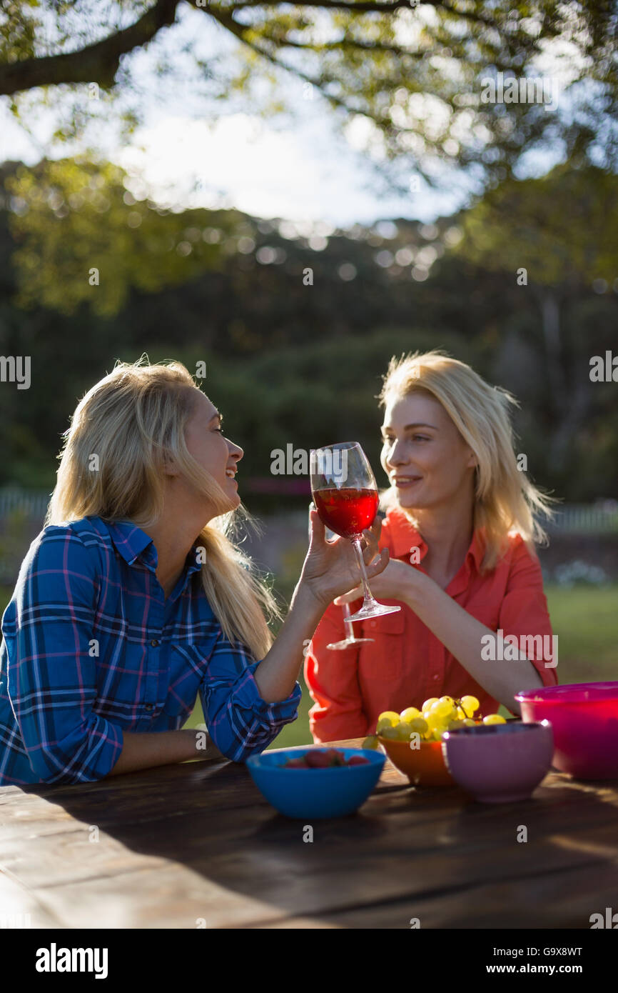 Beautiful women talking while having a glasses of red wine Stock Photo ...