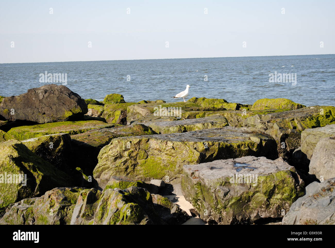 Cape May Jetty High Resolution Stock Photography and Images - Alamy