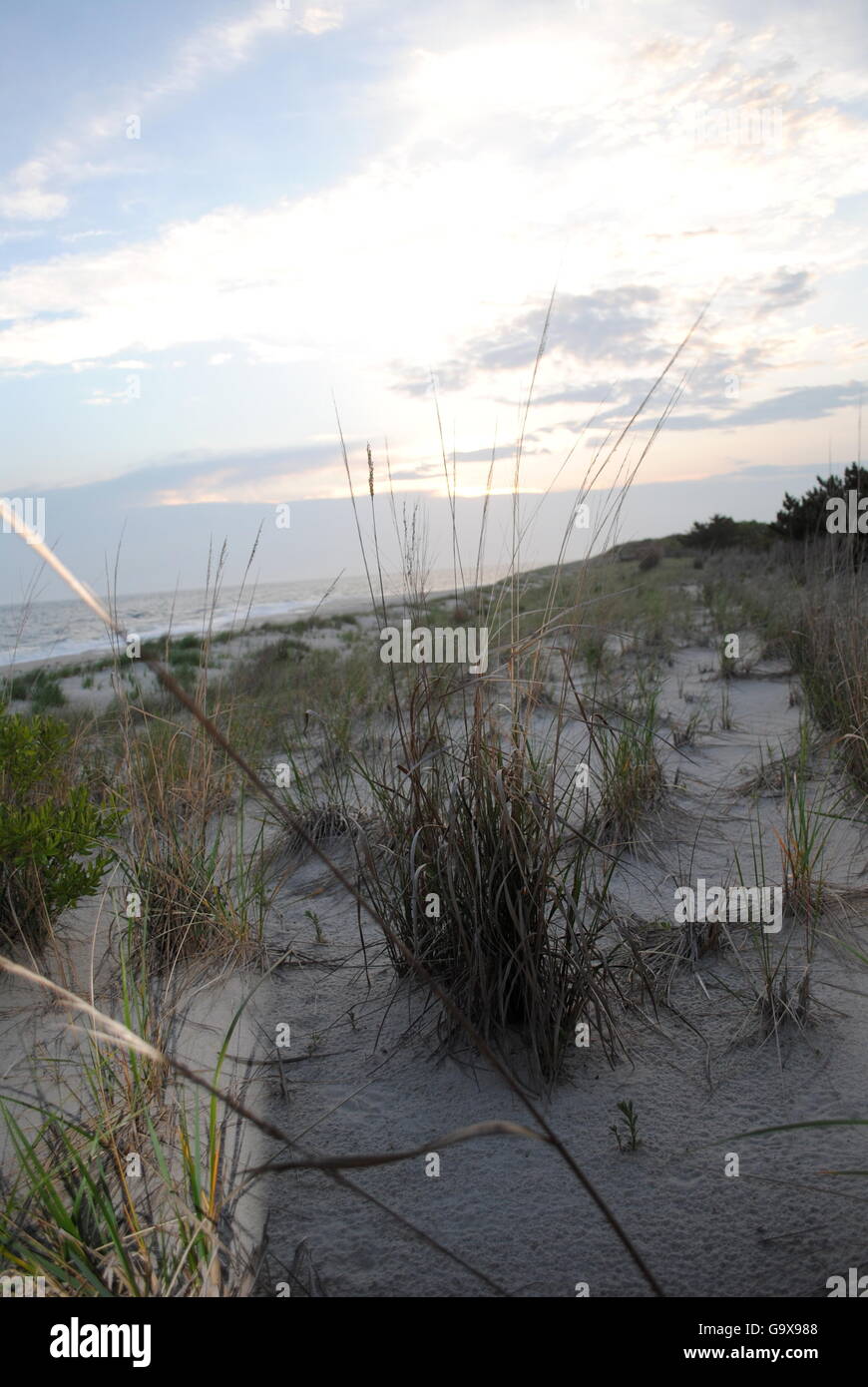 Sand dunes sunset hi-res stock photography and images - Alamy