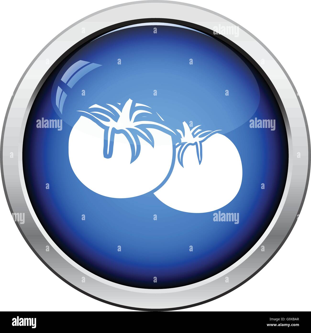 Tomatoes icon. Glossy button design. Vector illustration Stock Vector ...