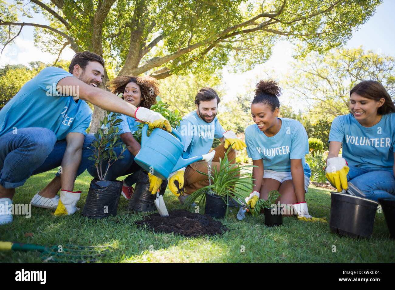 Group of volunteer planting Stock Photo - Alamy