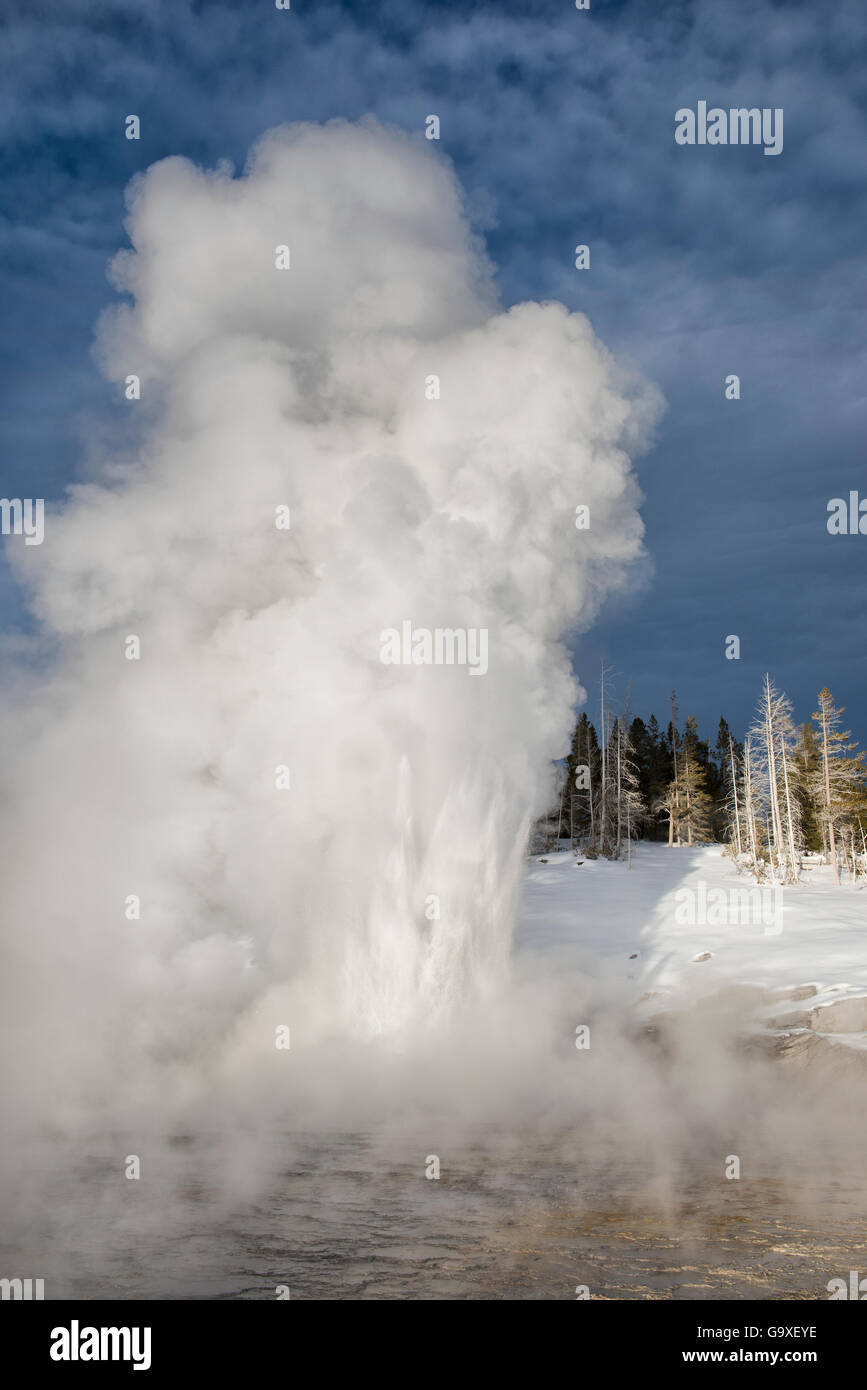 Grand Geyser eruption in winter. Upper Gesyer Basin of Yellowstone ...