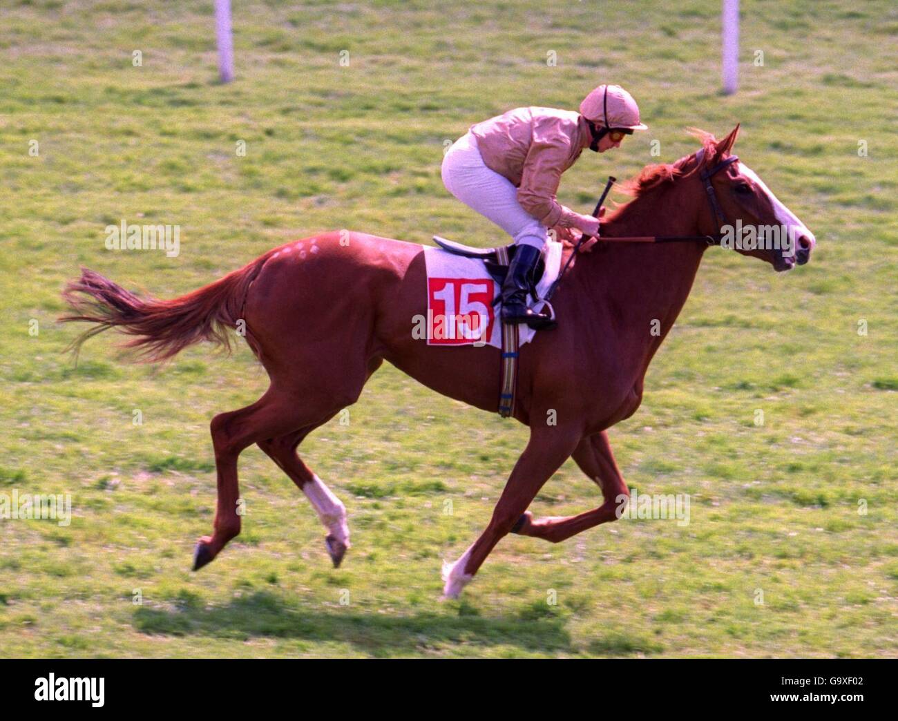 Horse Racing - Newmarket Races Stock Photo - Alamy
