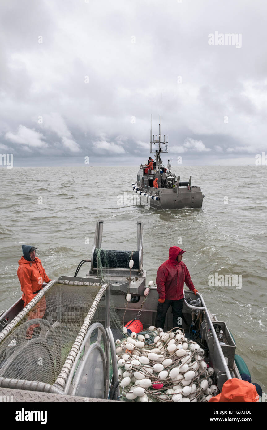 Drift netting hi-res stock photography and images - Alamy