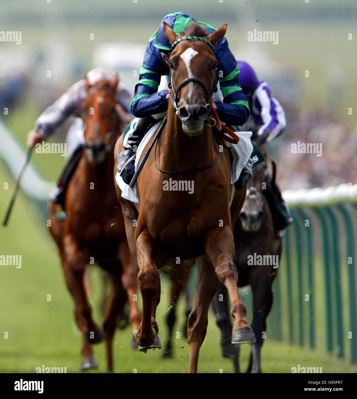 Horse Racing - Newmarket Stock Photo - Alamy