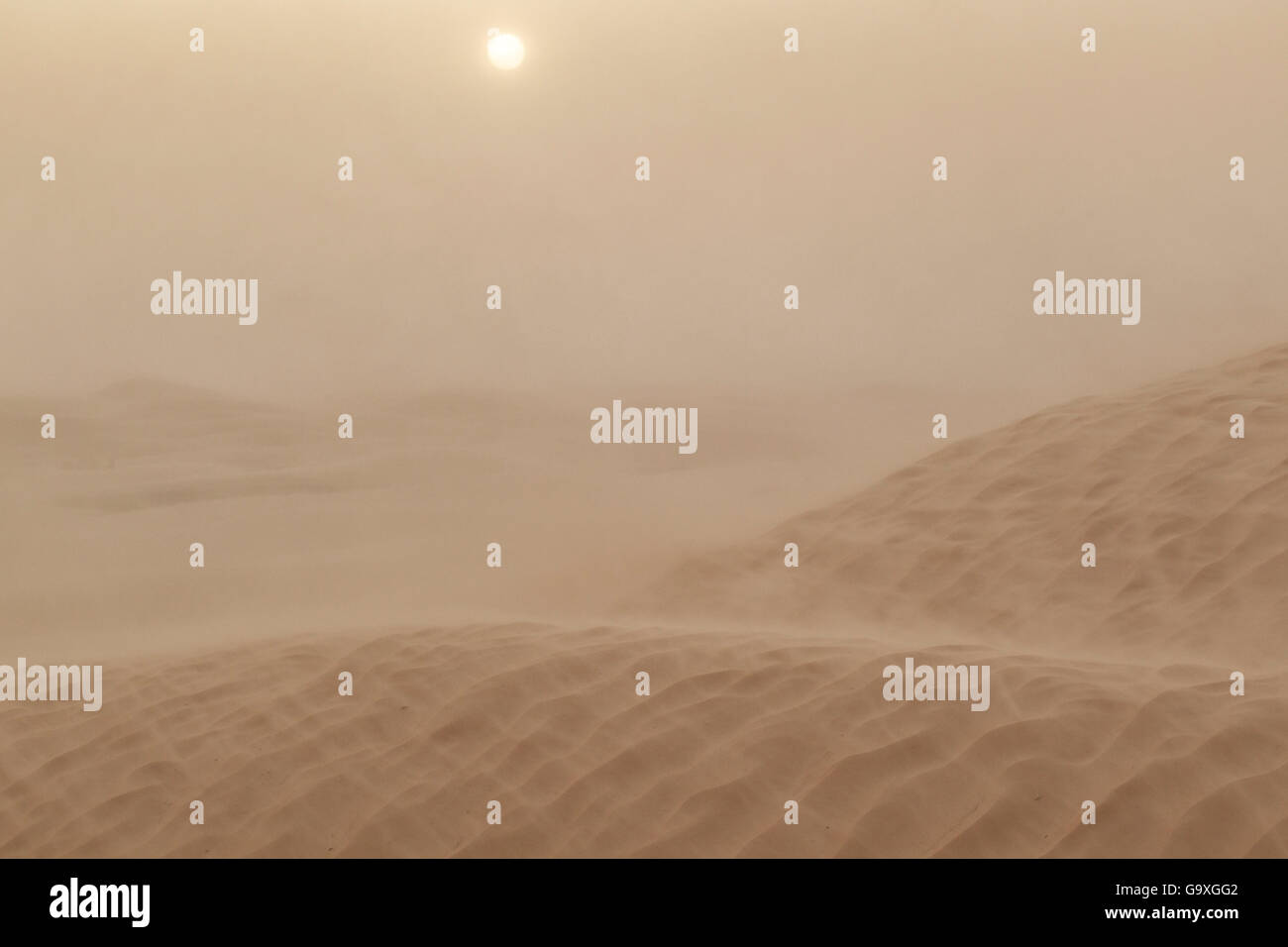 Sun filtering through sand during severe sandstorm. Grand Erg Oriental ...