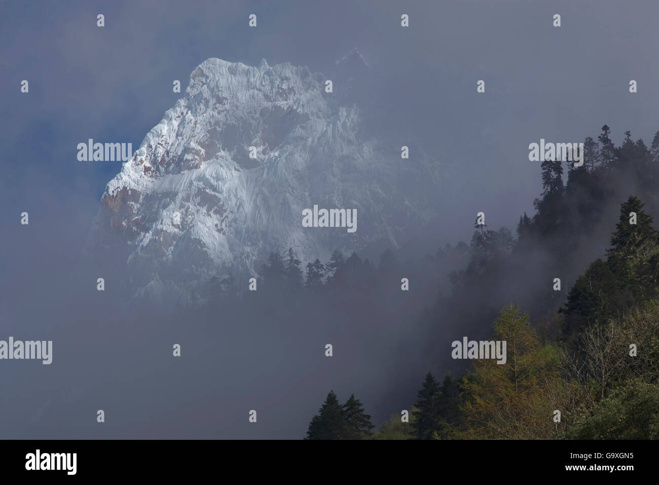 Gyala hi-res stock photography and images - Alamy