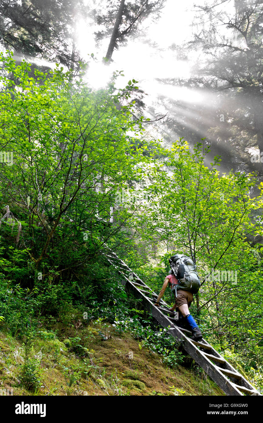 Vicky Spring ascending a ladder near Cullite Creek, West Coast Trail ...