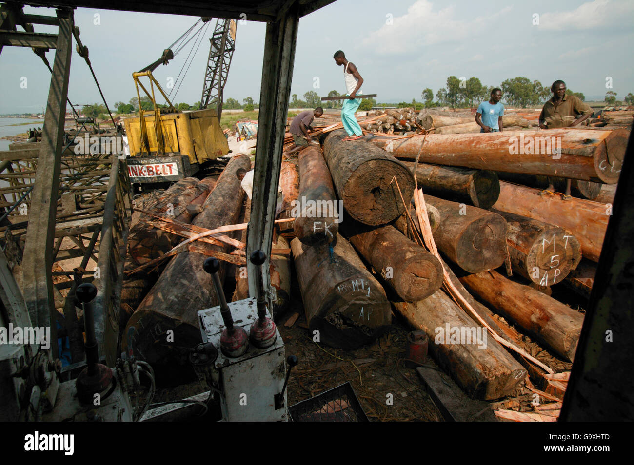 Illegal logged timber, Kinshasha, Democratic Republic of the Congo ...