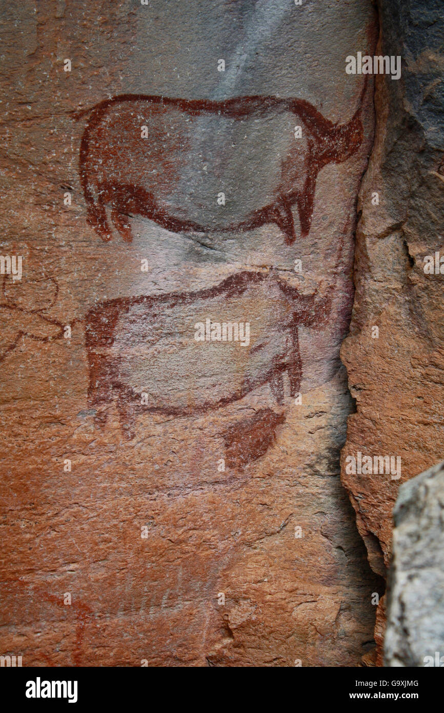 Rock paintings of Rhinoceros, Tsodilo hills UNESCO World Heritage Site ...