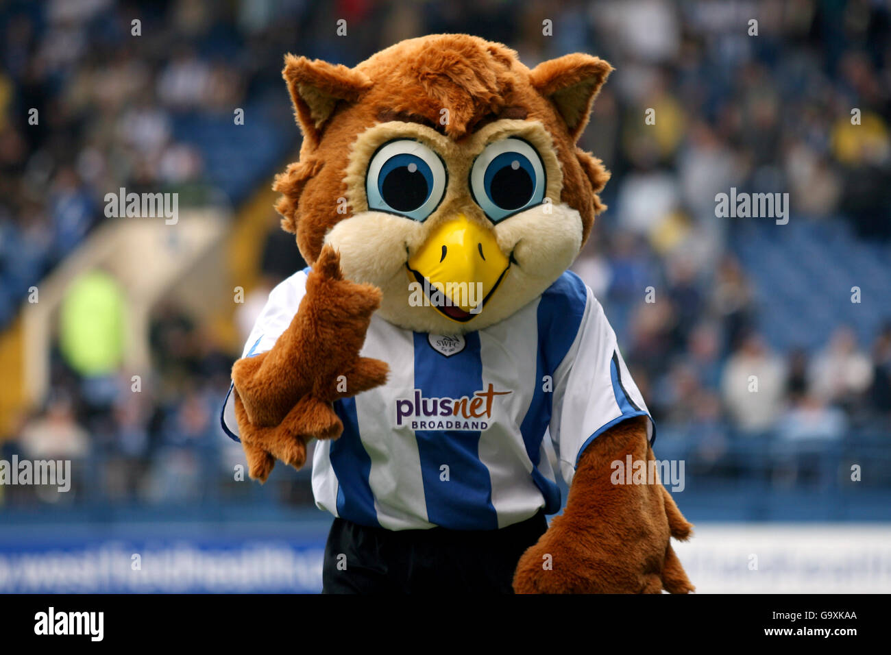 Sheffield wednesday mascot High Resolution Stock Photography and Images ...