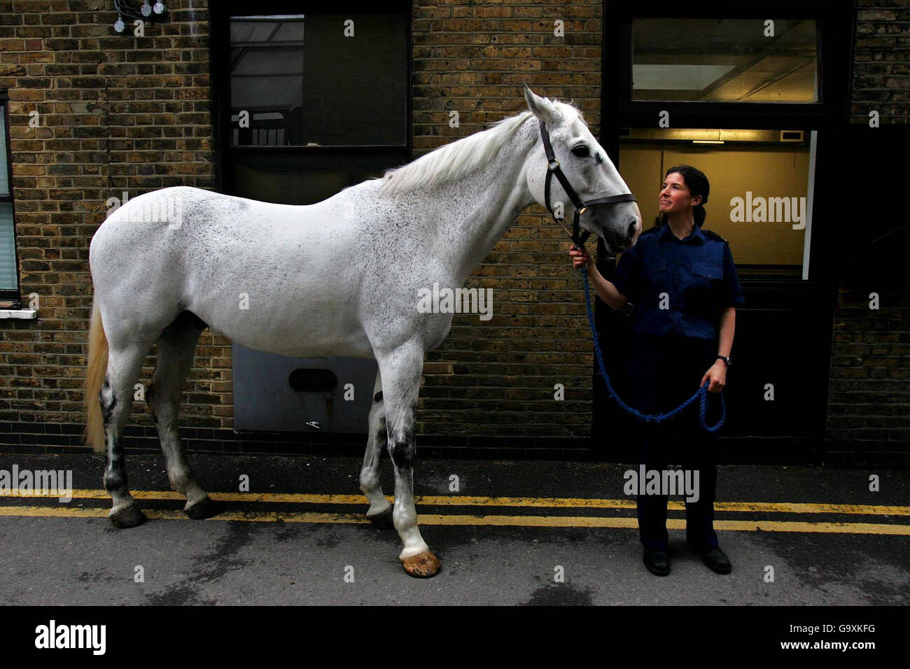 Mounted Police get ready for FA Cup Final Stock Photo - Alamy