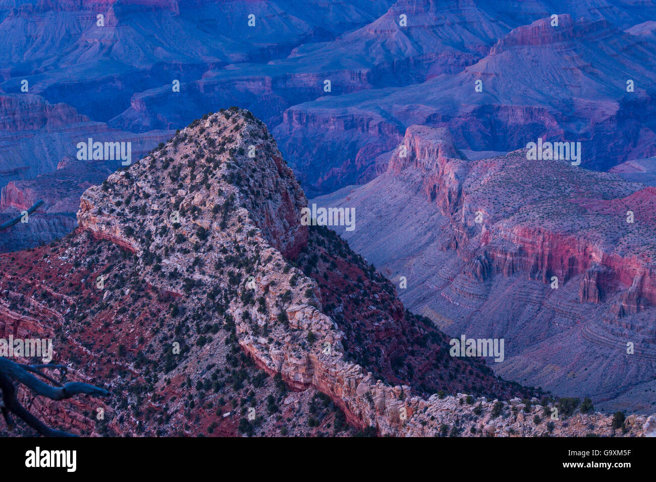 Ridge in the Grand Canyon, Grand Canyon National Park, Arizona, USA ...