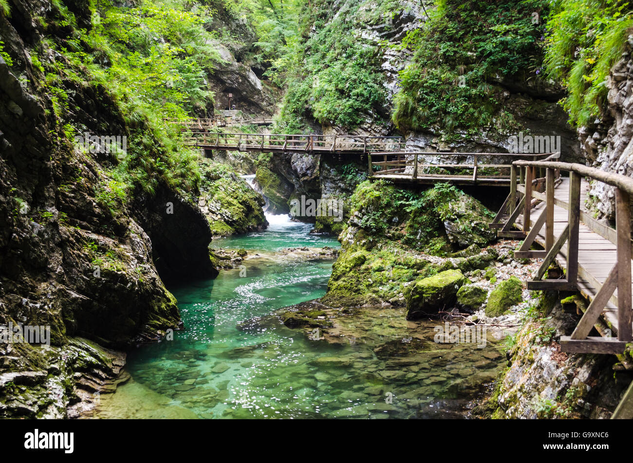 Vintgar Gorge, Slovenia Stock Photo - Alamy